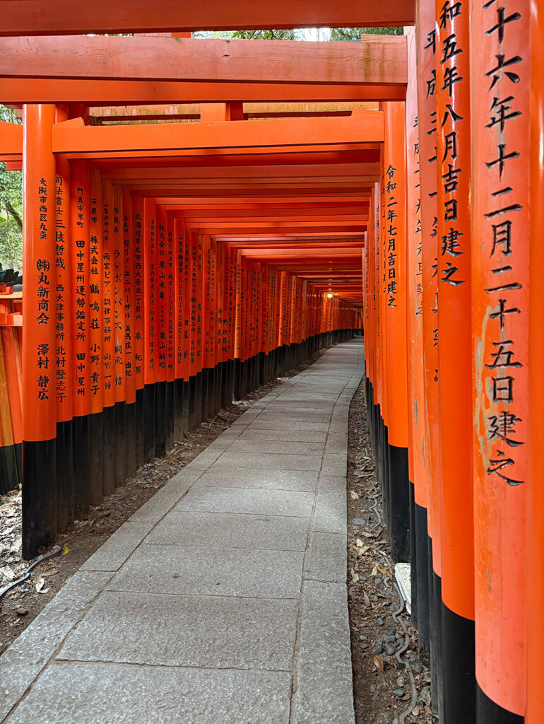 2026年もよろしくお願いいたします！ | Comfy design Blog