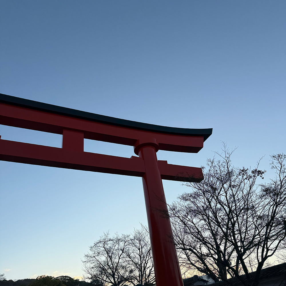 2026年もよろしくお願いいたします！ | Comfy design Blog